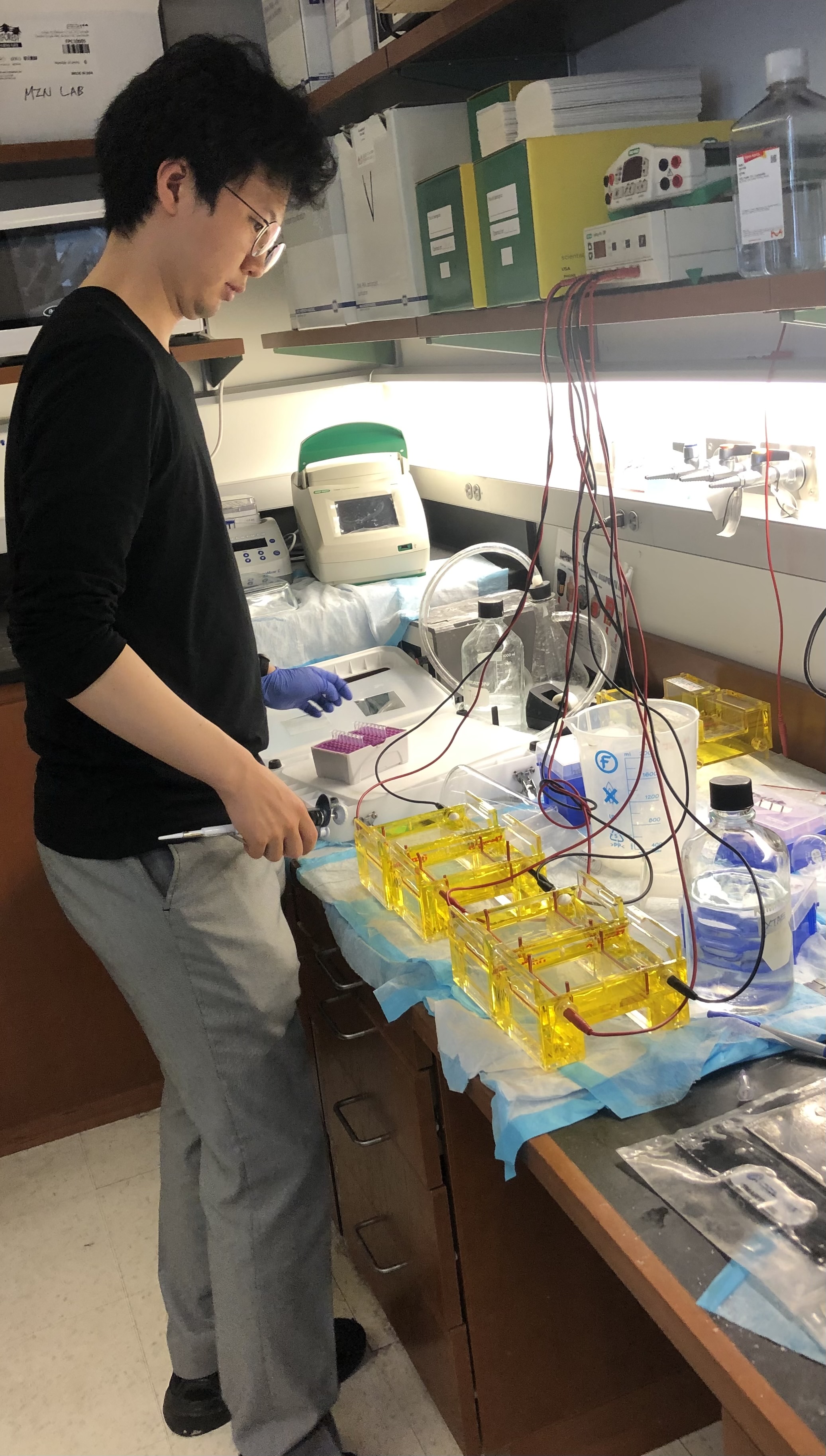 Gallery – Min Laboratory